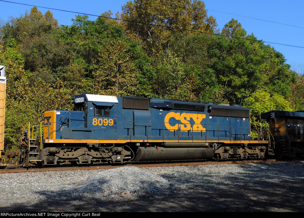 CSX 8099